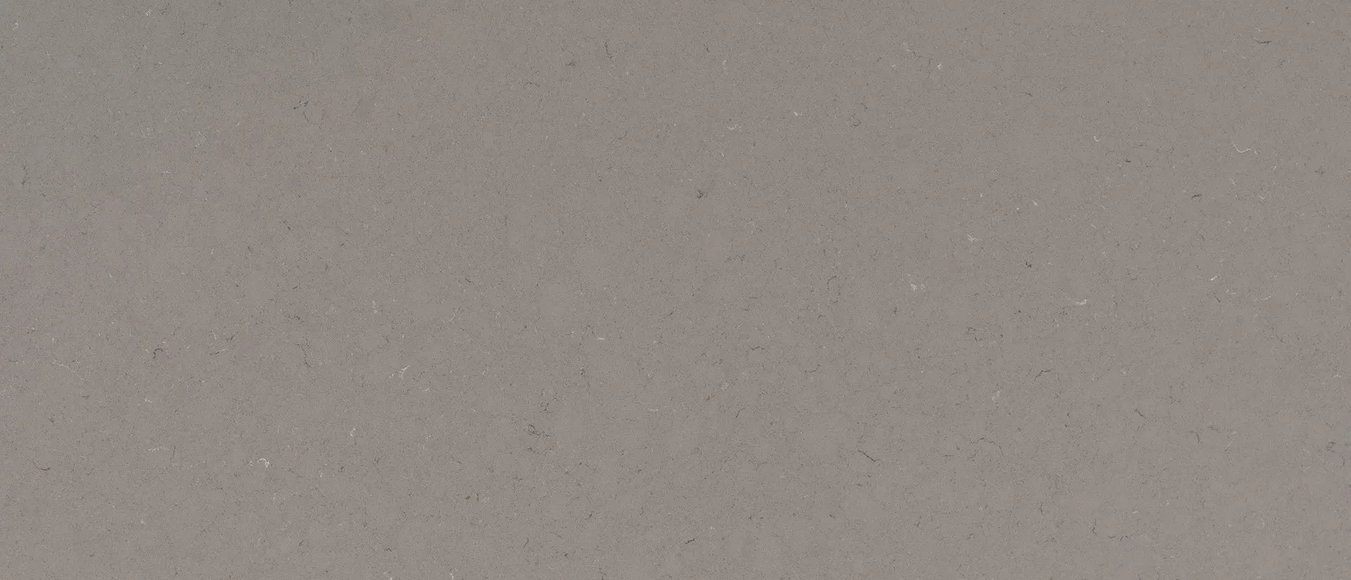 Up to 80% off your perfect Quartz Q Quartz Fossil Gray (Polished ...